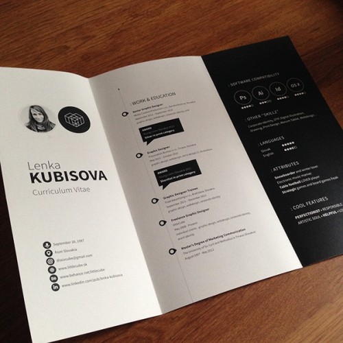 30 Most Visually Creative Resumes You've Ever Seen | Inspirationfeed