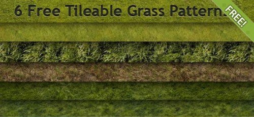 2,000+ Free Grass Textures for Your Designs | Inspirationfeed