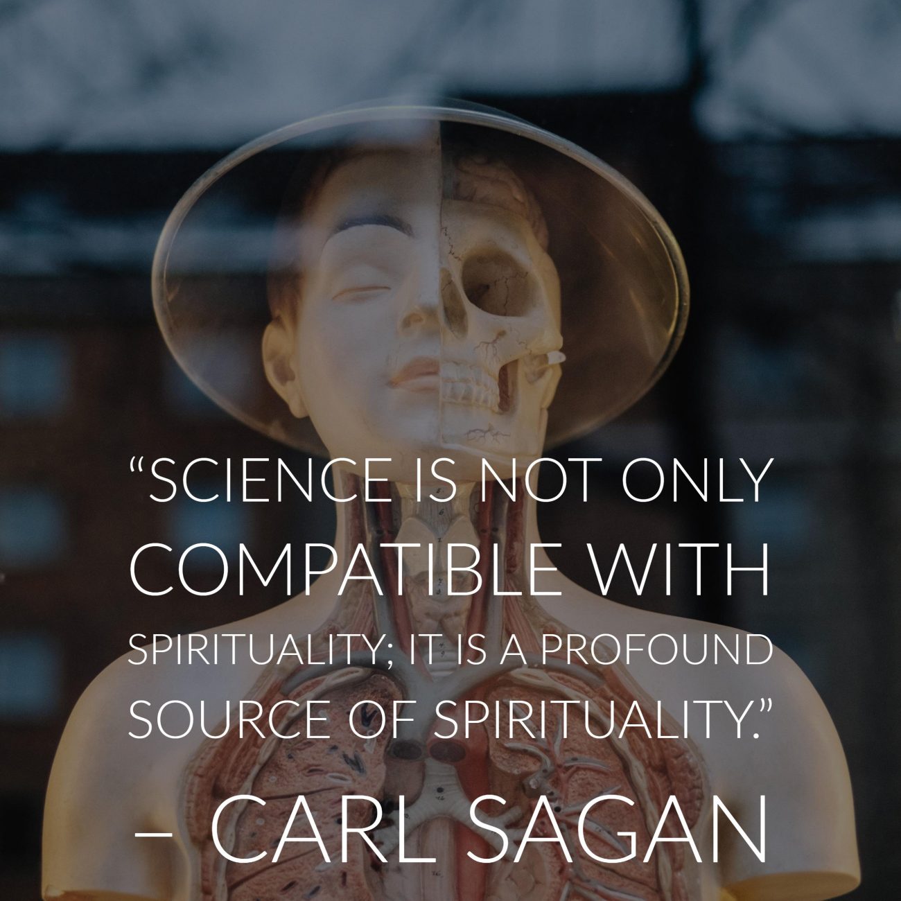 30 Precious Carl Sagan Image Quotes about the Cosmos | Inspirationfeed