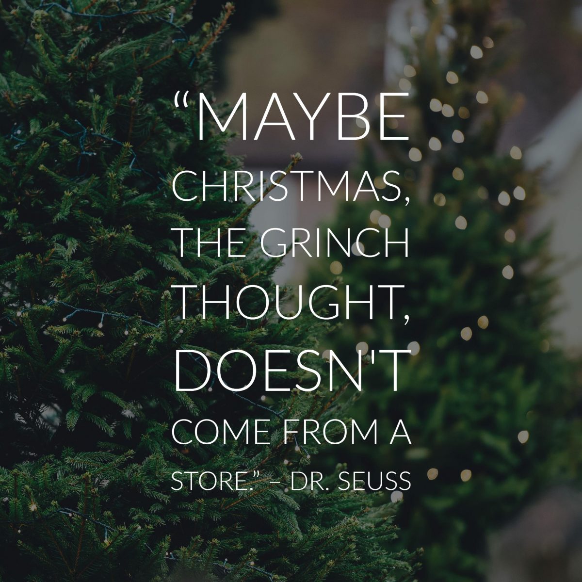 40 Dr. Seuss Quotes Full of Wit and Wisdom | Inspirationfeed