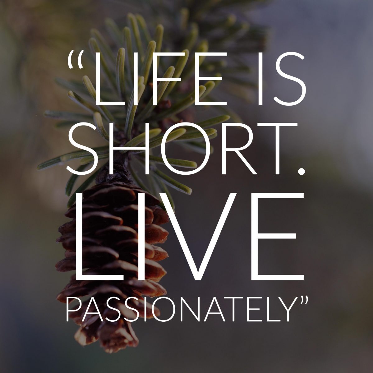 60 Thought Provoking Quotes To Inspire You | Inspirationfeed
