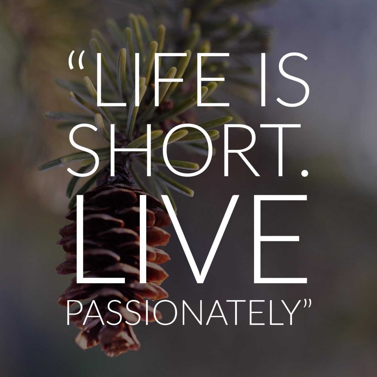 60 Thought Provoking Quotes To Inspire You | Inspirationfeed