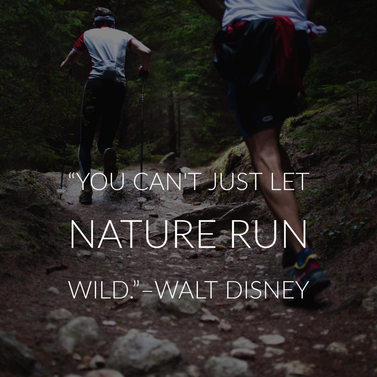 33 Inspiring Walt Disney Quotes | Inspirationfeed