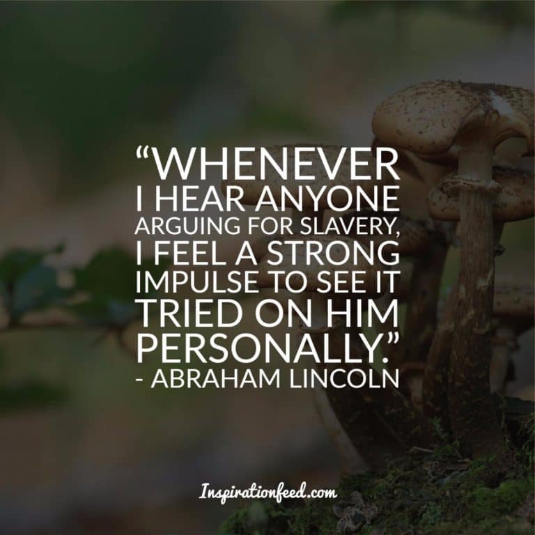 30 Powerful Abraham Lincoln Quotes on Democracy and Success ...