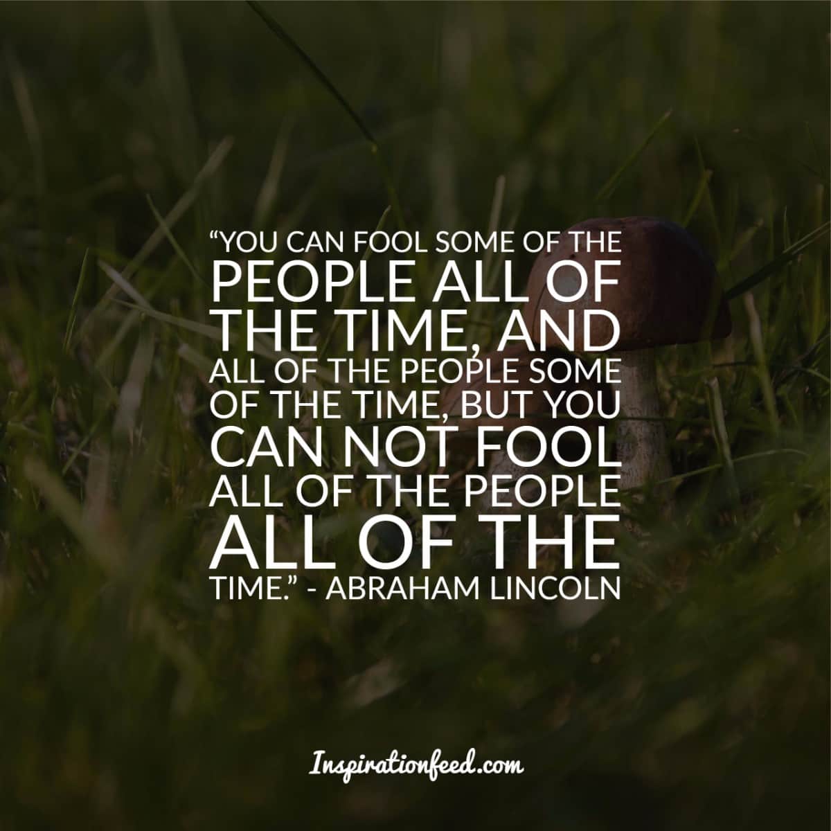30 Powerful Abraham Lincoln Quotes on Democracy and Success | CDhistory 30 Powerful Abraham Lincoln Quotes on Democracy and Success | CDhistory