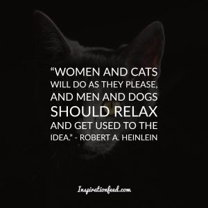 40 Precious Quotes About Cats That Will Brighten Your Day | Inspirationfeed