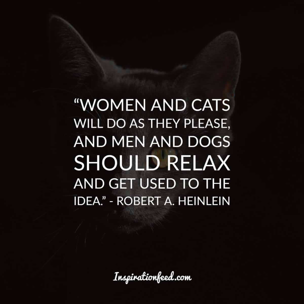 40 Precious Quotes About Cats That Will Brighten Your Day | Inspirationfeed