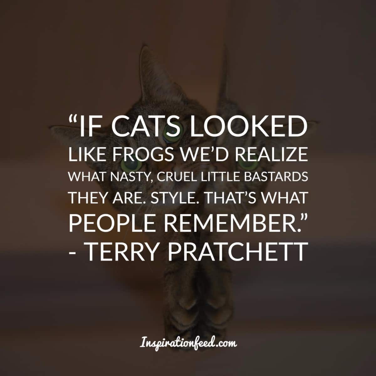 40 Precious Quotes About Cats That Will Brighten Your Day | Inspirationfeed