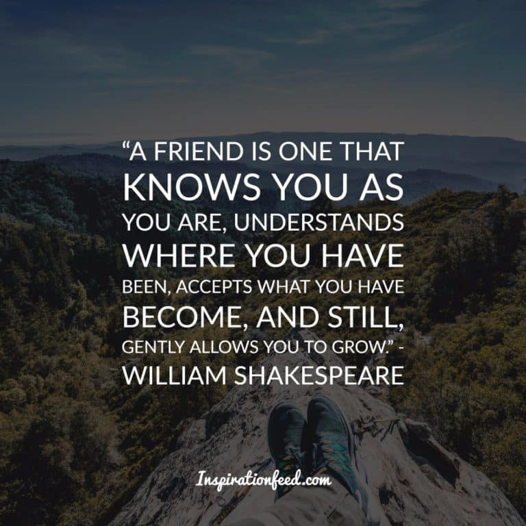 60 Quotes That Prove Why Friendship Matters | Inspirationfeed