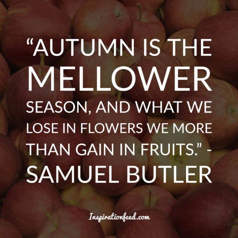 60 Inspiring Fall Quotes and Sayings | Inspirationfeed