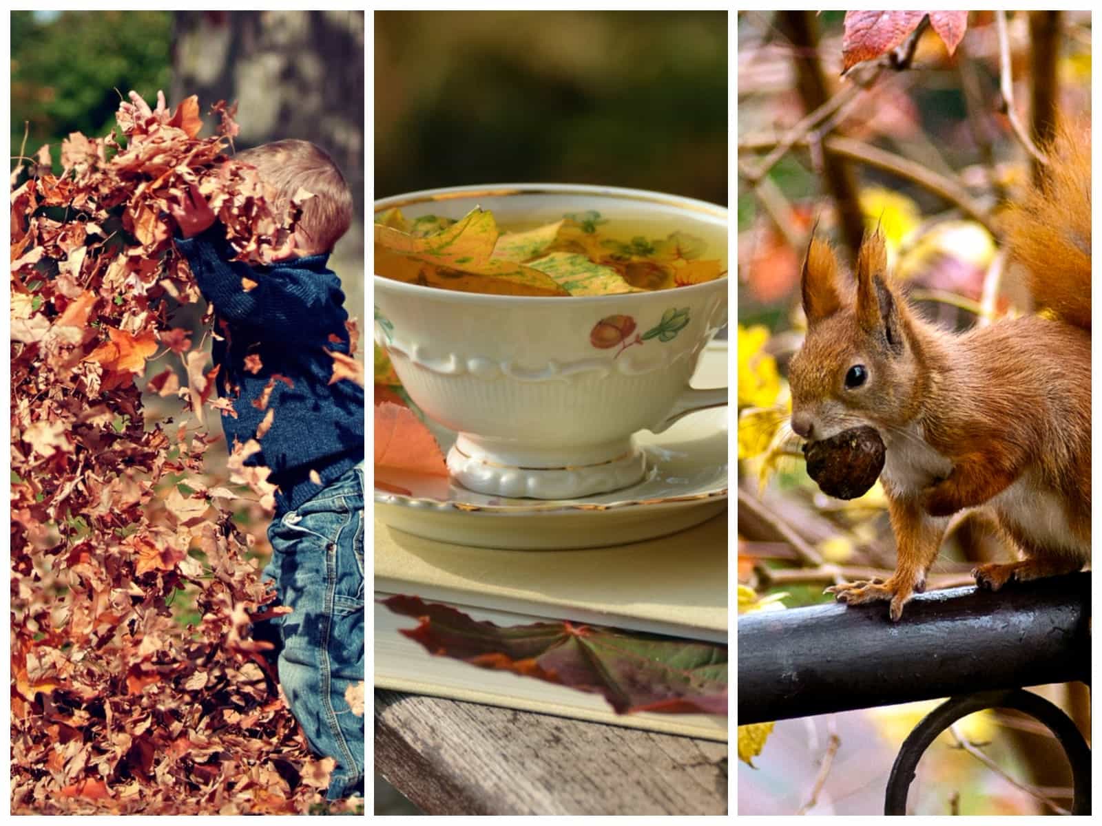 60 Inspiring Fall Quotes and Sayings | Inspirationfeed
