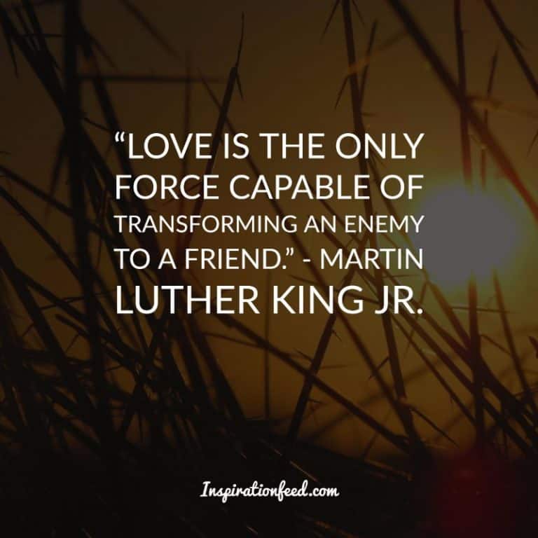 30 Martin Luther King Jr. Quotes on Courage and Equality | Inspirationfeed