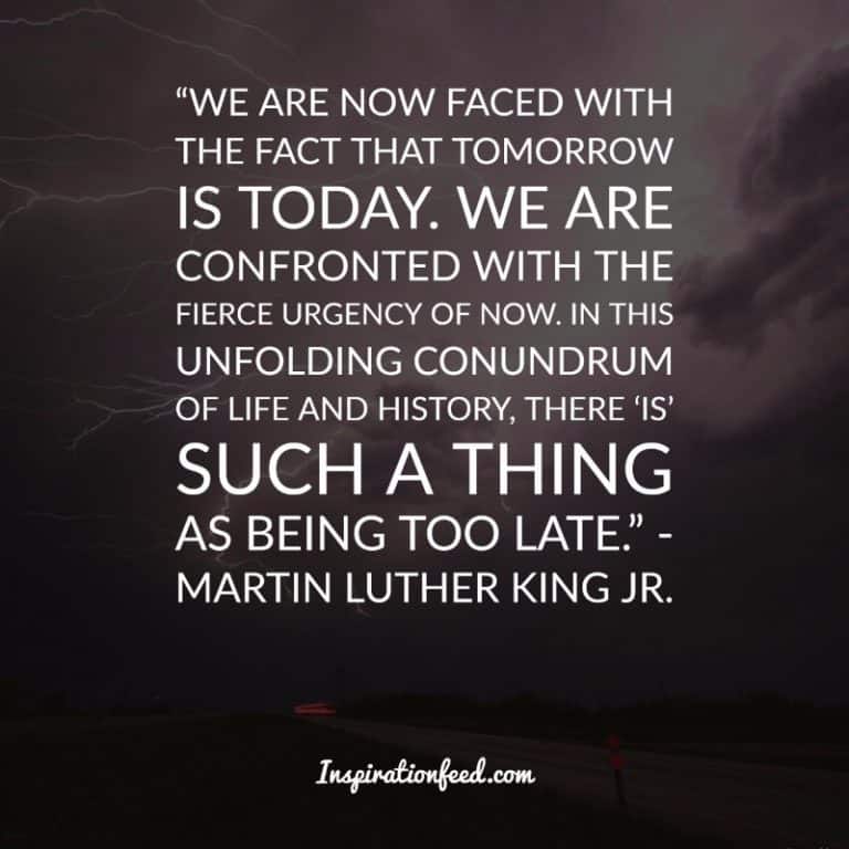 30 Martin Luther King Jr. Quotes on Courage and Equality | Inspirationfeed