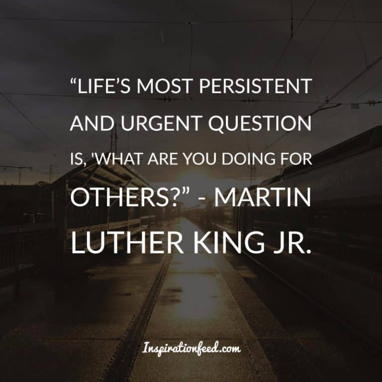 30 Martin Luther King Jr. Quotes on Courage and Equality - Inspirationfeed