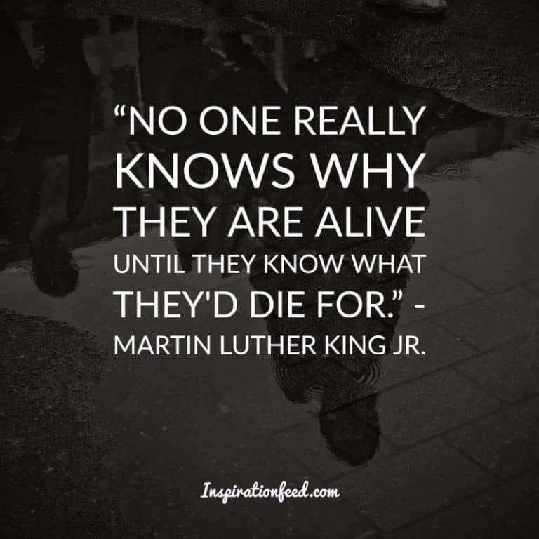 30 Martin Luther King Jr. Quotes on Courage and Equality | Inspirationfeed