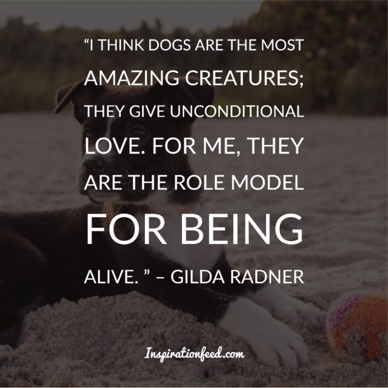 40 of The Best Dog Quotes of All Time | Inspirationfeed