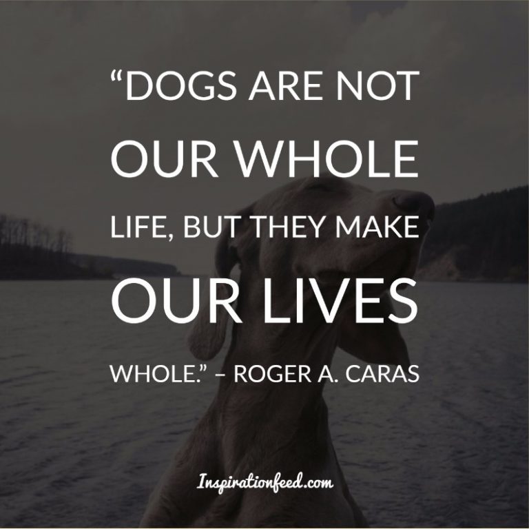 40 of The Best Dog Quotes of All Time | Inspirationfeed