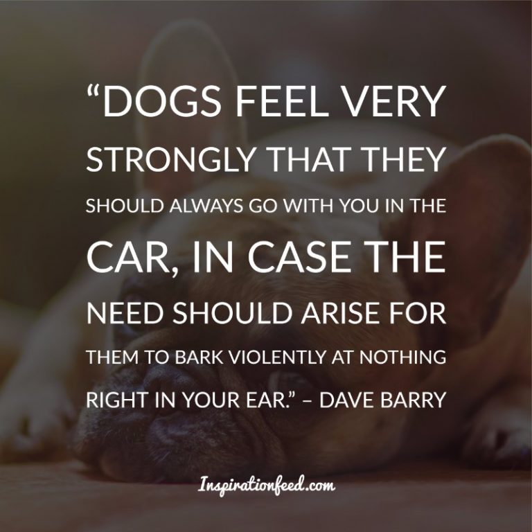 40 of The Best Dog Quotes of All Time | Inspirationfeed