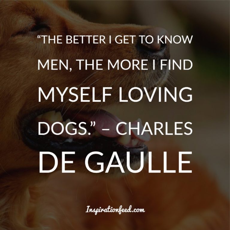 40 of The Best Dog Quotes of All Time | Inspirationfeed