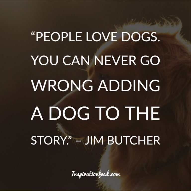 40 of The Best Dog Quotes of All Time | Inspirationfeed