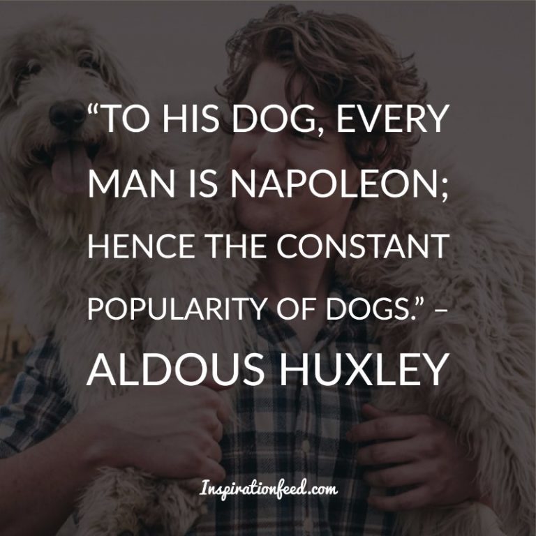 40 of The Best Dog Quotes of All Time | Inspirationfeed