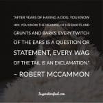 40 of The Best Dog Quotes of All Time - Inspirationfeed