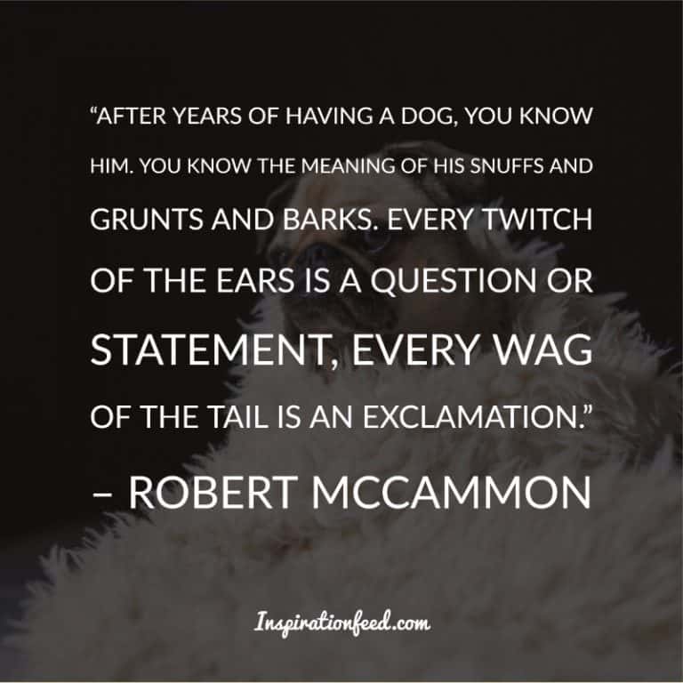 40 of The Best Dog Quotes of All Time - Inspirationfeed