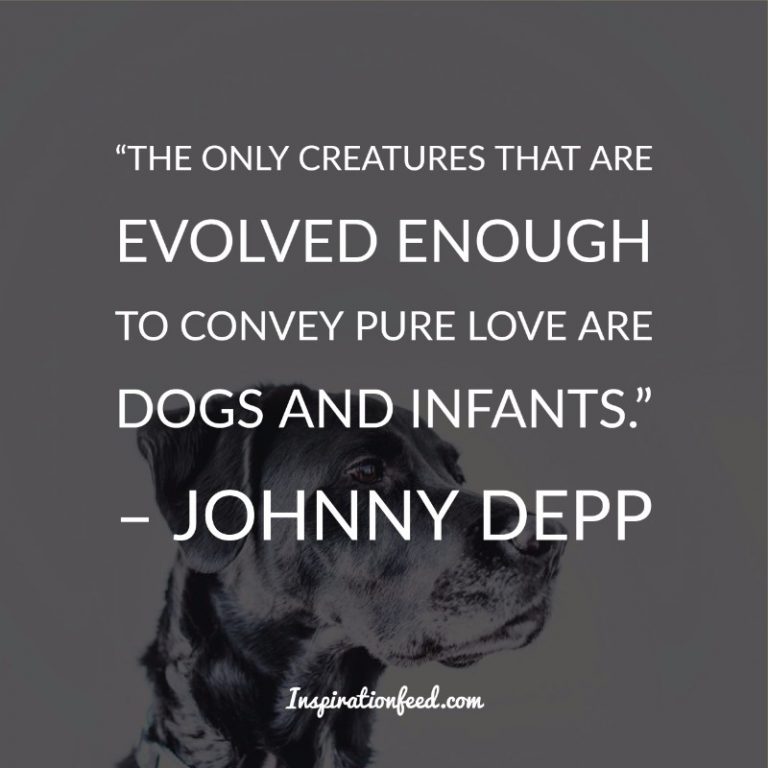 40 of The Best Dog Quotes of All Time | Inspirationfeed