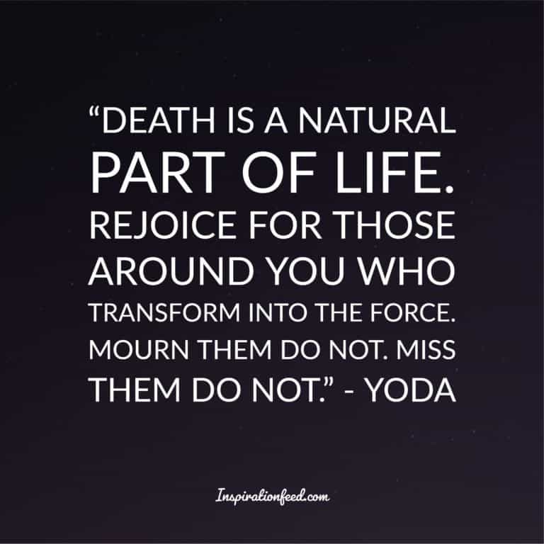 40 Of The Best Yoda Quotes To Awaken The Force In You | Inspirationfeed