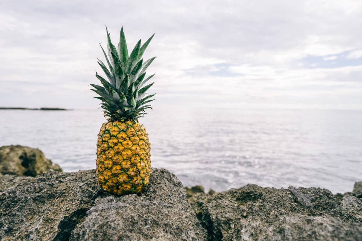 30 of the Sweetest Desktop and Smartphone Pineapple Wallpapers ...