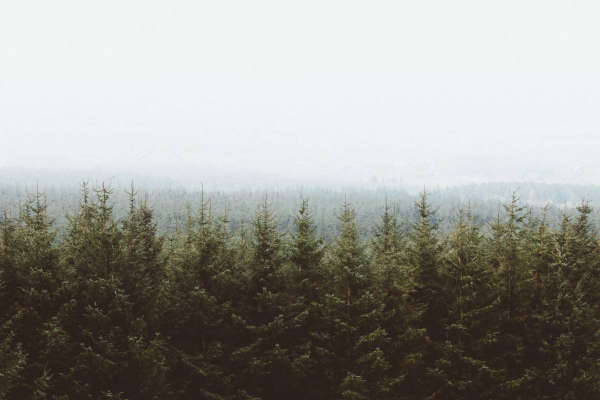 75 Beautiful Minimal Desktop and Laptop Wallpapers for Minimalist ...