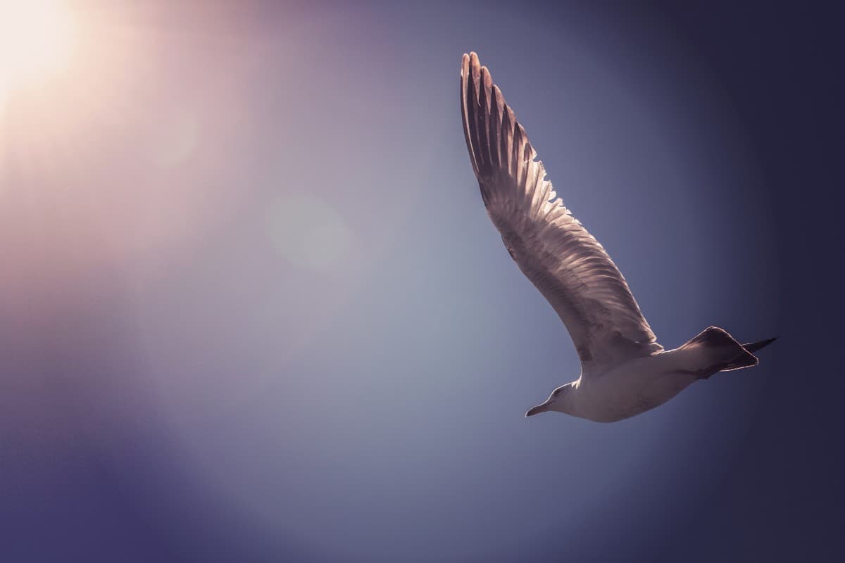 50 Christian Wallpapers for Inspiration and Motivation | Inspirationfeed