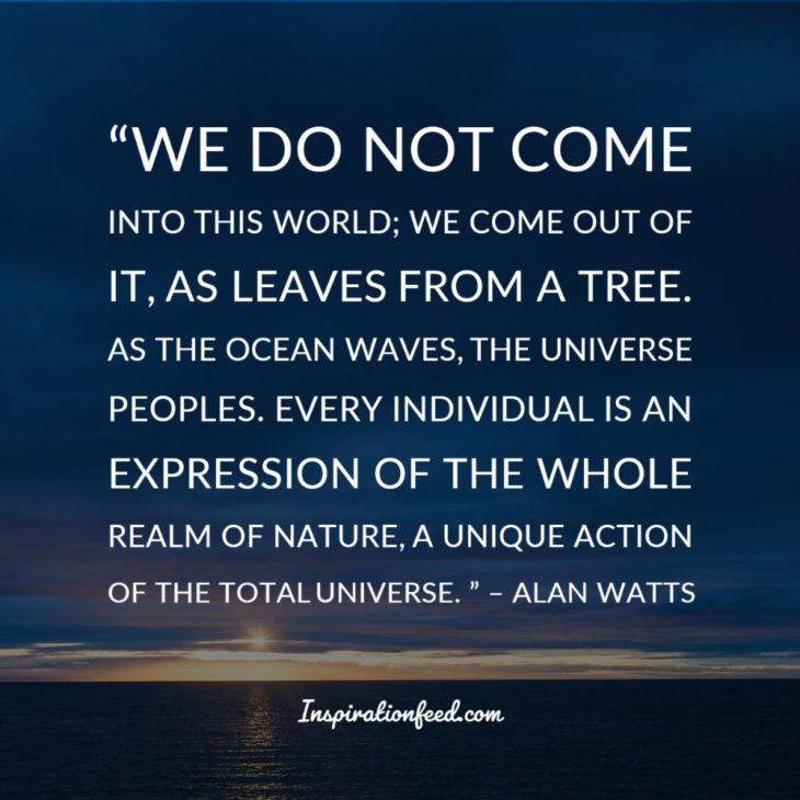94 Inspiring Quotes from Alan Watts | Inspirationfeed