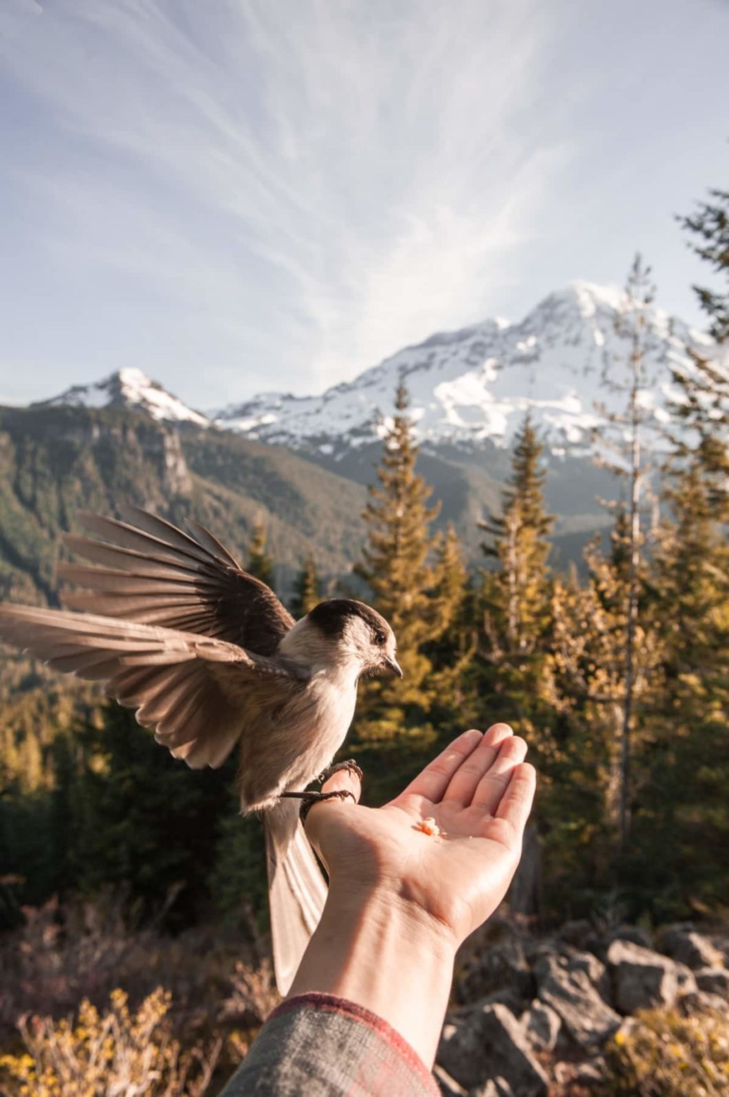 146 Peace Quotes to Achieve Inner Peace | Inspirationfeed