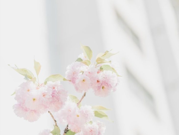 36 Gorgeous Spring Wallpapers To Brighten Your Day | Inspirationfeed