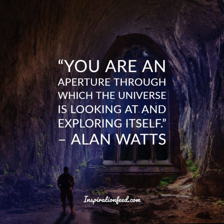 94 Inspiring Quotes from Alan Watts | Inspirationfeed
