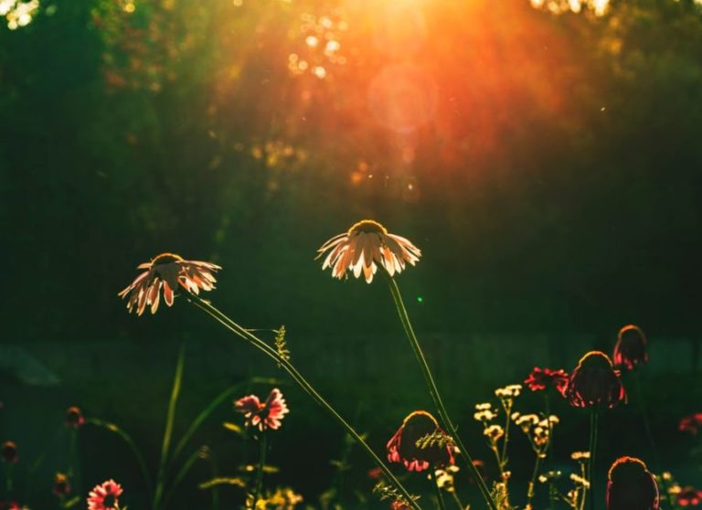 36 Gorgeous Spring Wallpapers To Brighten Your Day | Inspirationfeed