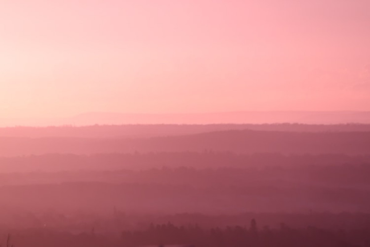 60 Free Pink Wallpapers and Images for Pink Lovers | Inspirationfeed