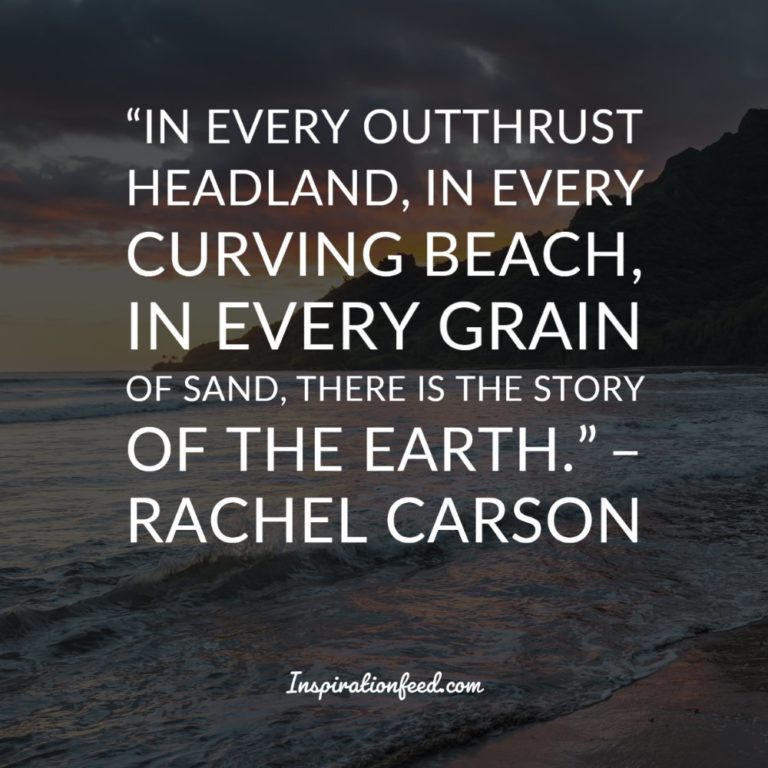 50 Beach Quotes and Sayings for Those Who Love The Sea | Inspirationfeed