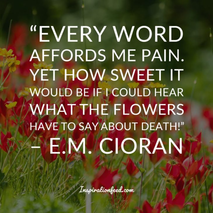 30 Profound Quotes about Death to Live a Meaningful Life | Inspirationfeed