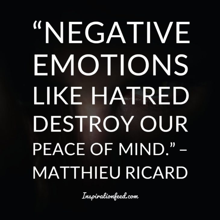 146 Peace Quotes to Achieve Inner Peace | Inspirationfeed