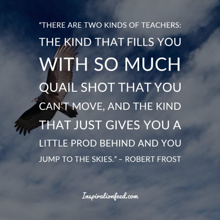 80 Quotes to Honor and Inspire Teachers | Inspirationfeed