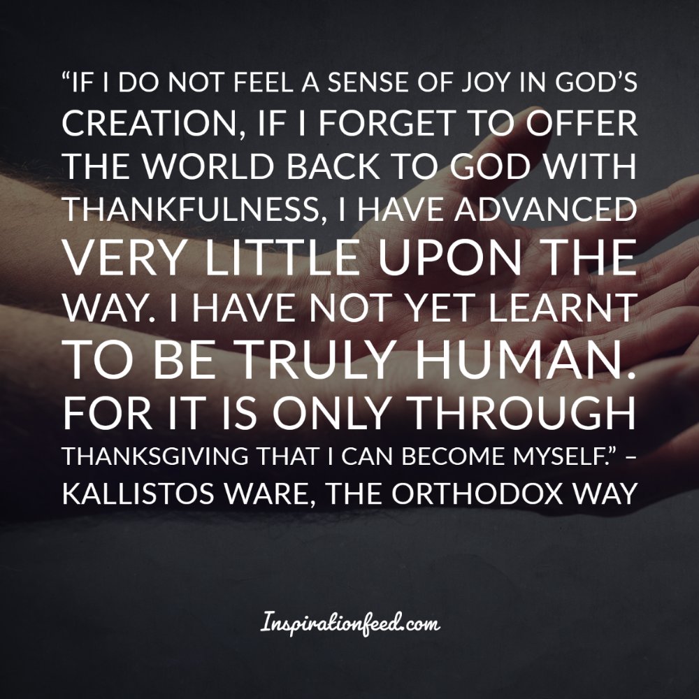 100 Gratitude Quotes to Bless Your Life | Inspirationfeed