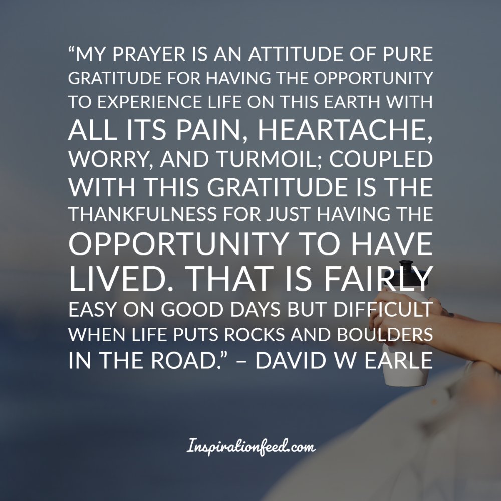 100 Gratitude Quotes to Bless Your Life | Inspirationfeed