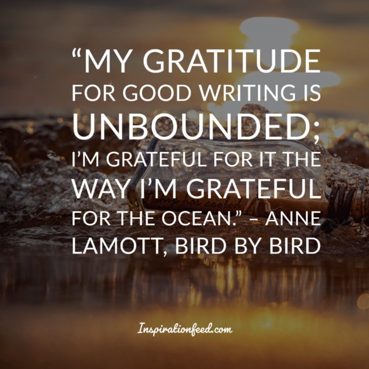 100 Gratitude Quotes to Bless Your Life | Inspirationfeed