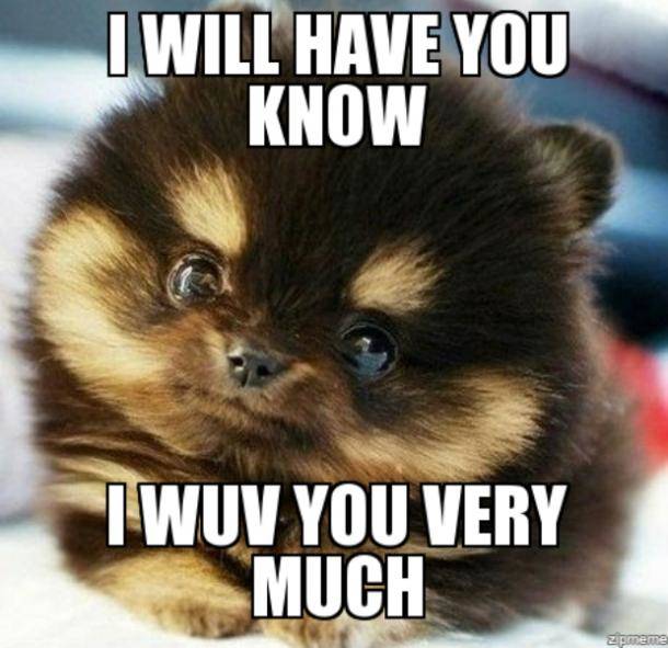 84 Of The Best I Love You Memes To Send To Your Special Someone 84 Of The Best I Love You Memes To Send To Your Special Someone