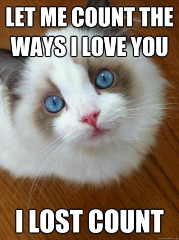84 of the Best I Love You Memes To Send To Your Special Someone ...