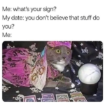 50 of the Best Astrology Memes That Will Make You Question Your Start ...