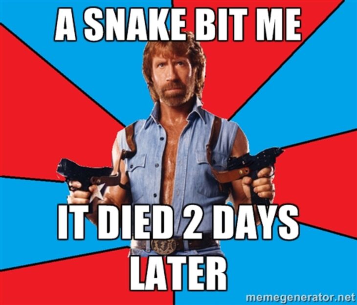 30 Epic Chuck Norris Memes To Celebrate The Man Behind The Meme ...