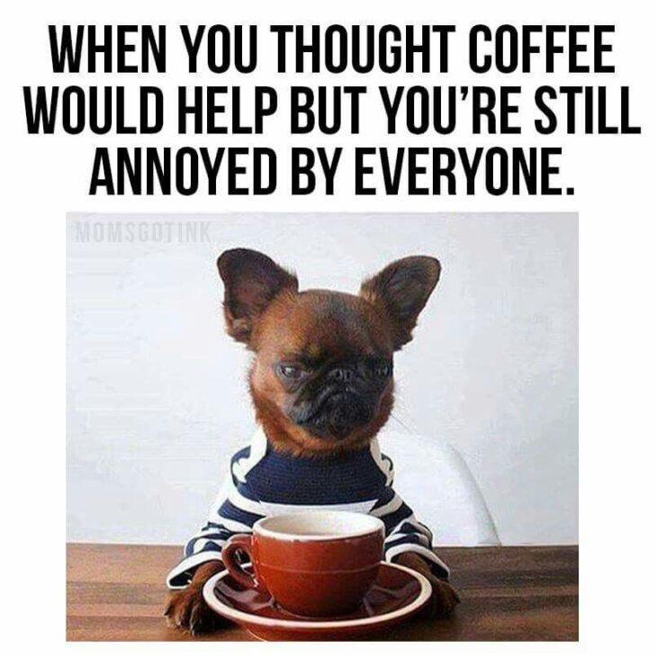 65 Funny Coffee Memes You Can Always Relate To | Inspirationfeed